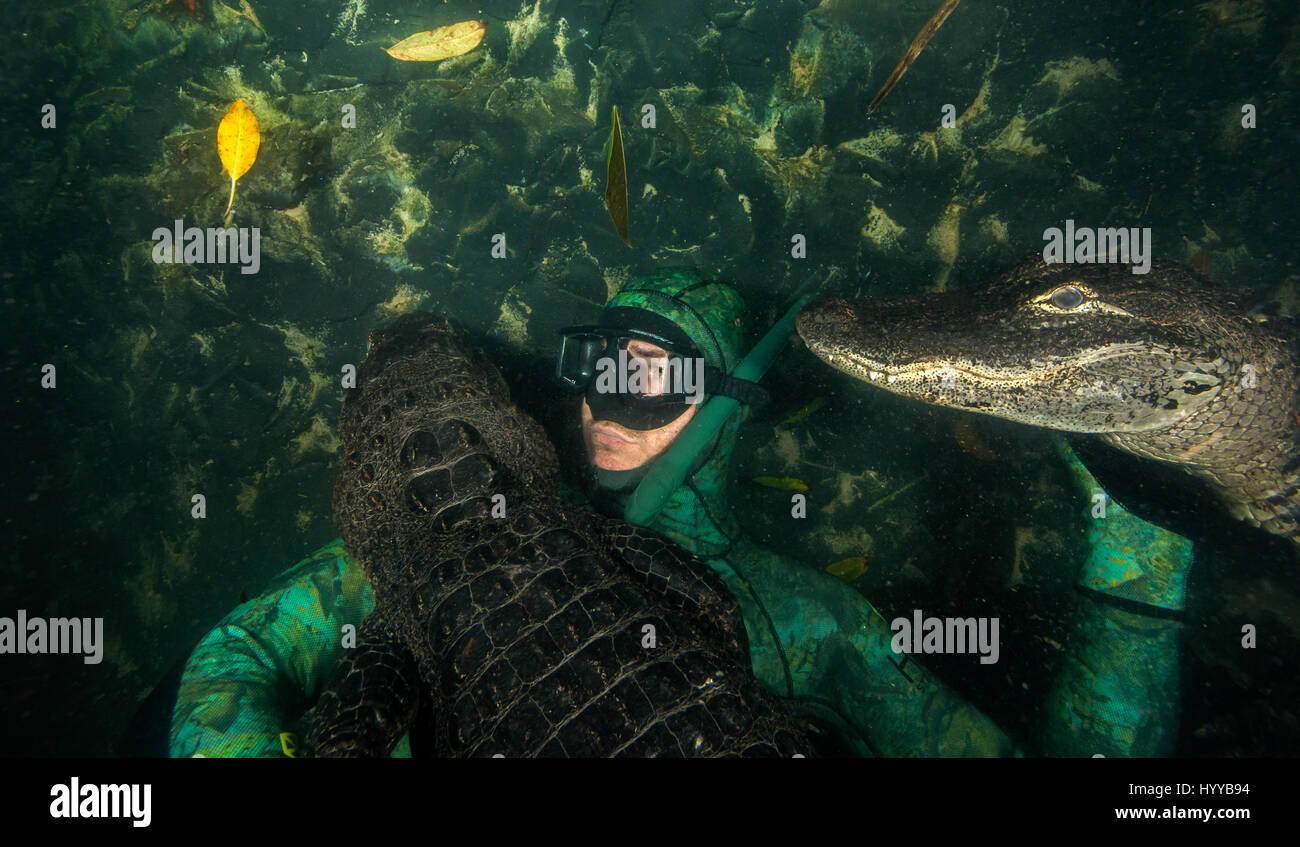 FLORIDA, USA: STUNNING underwater shots showing a man bravely hanging ...