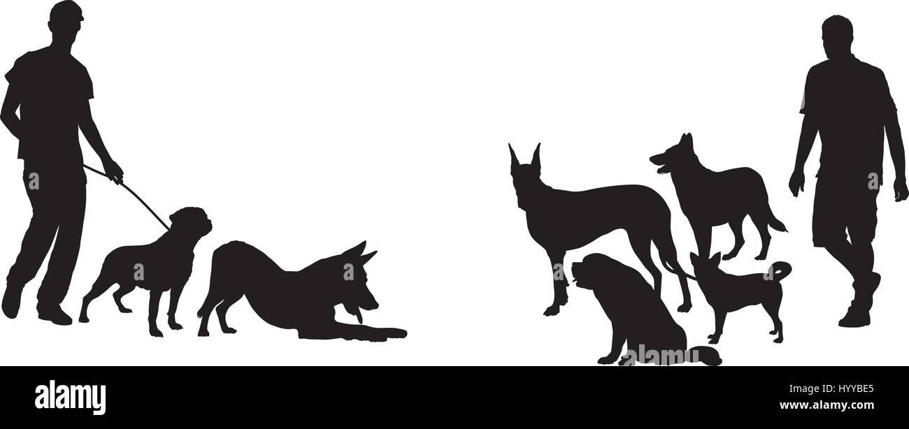 Adult dog training Stock Vector Images - Alamy