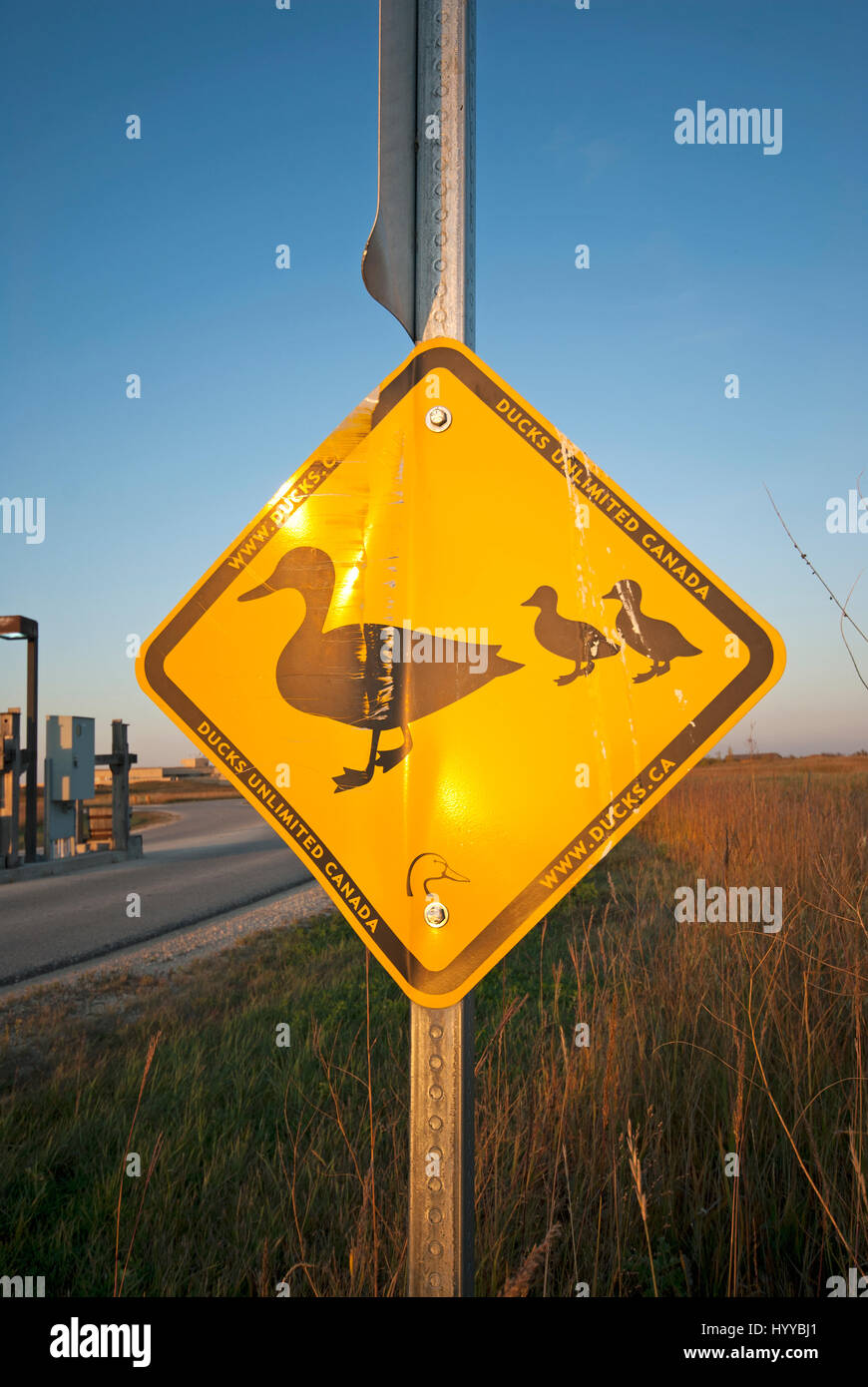 Animal safety ducks birds sign hi-res stock photography and images - Alamy