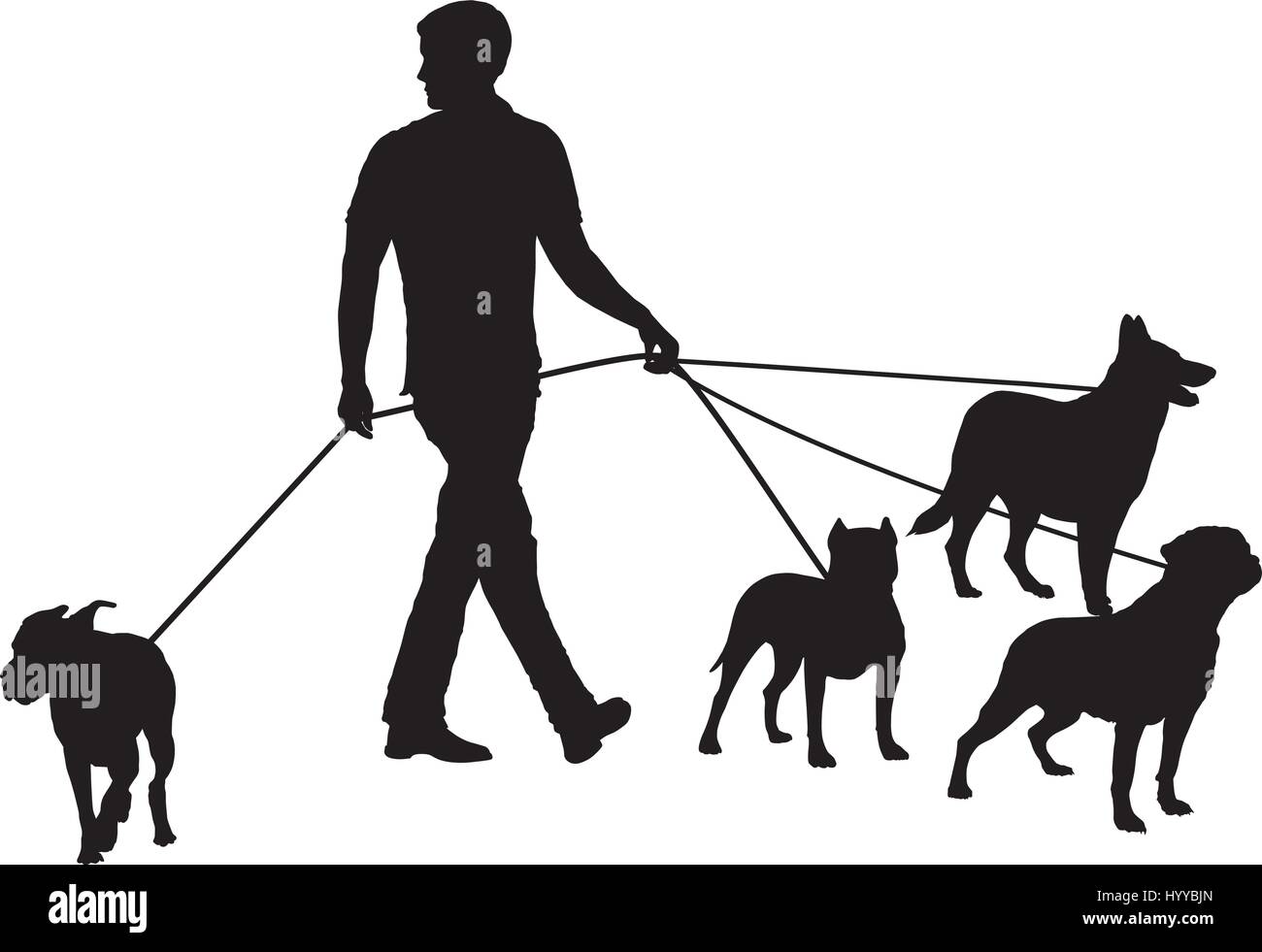 Man and four dogs Stock Vector Image & Art - Alamy