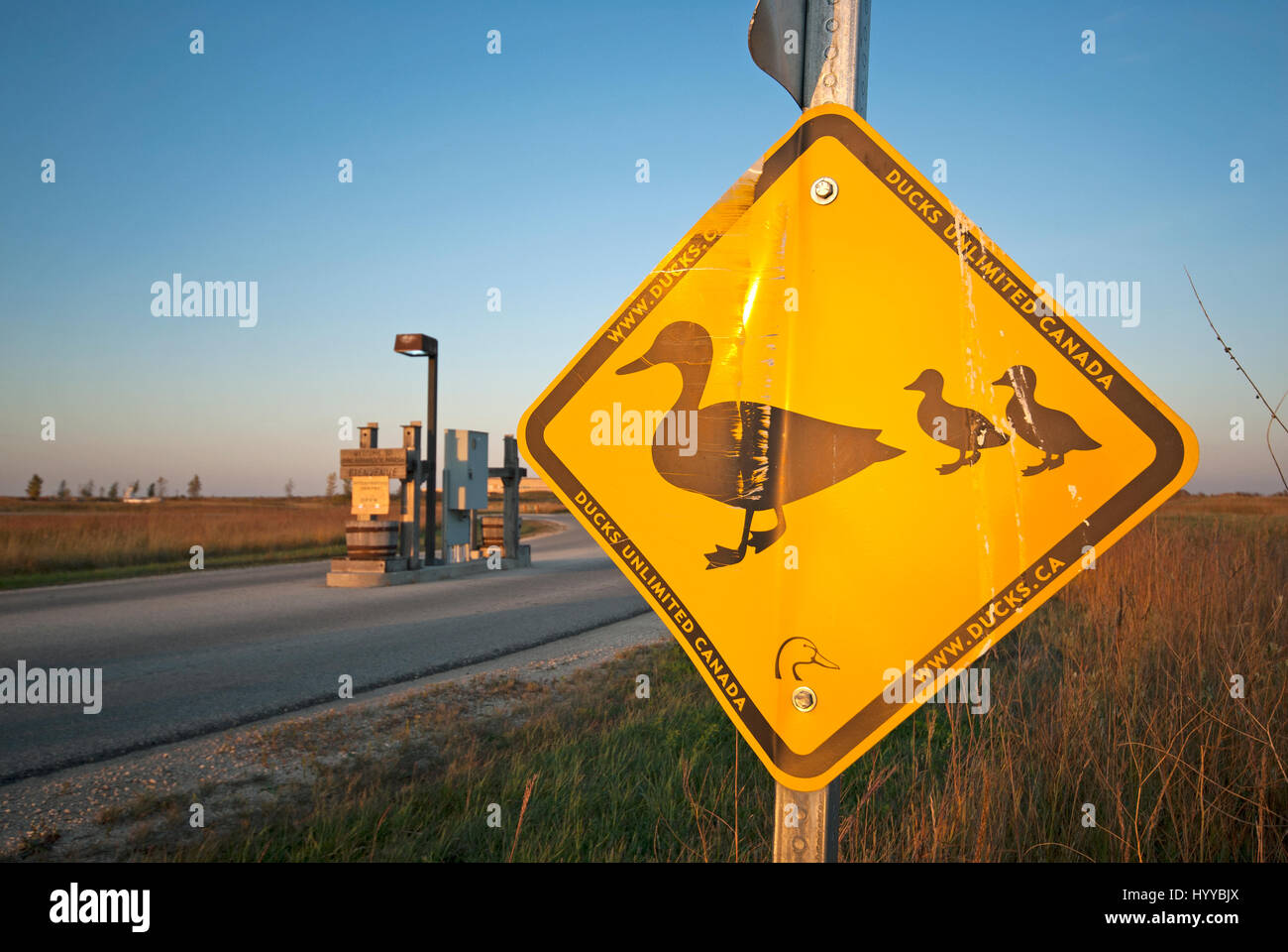 Animal safety ducks birds sign hi-res stock photography and images - Alamy