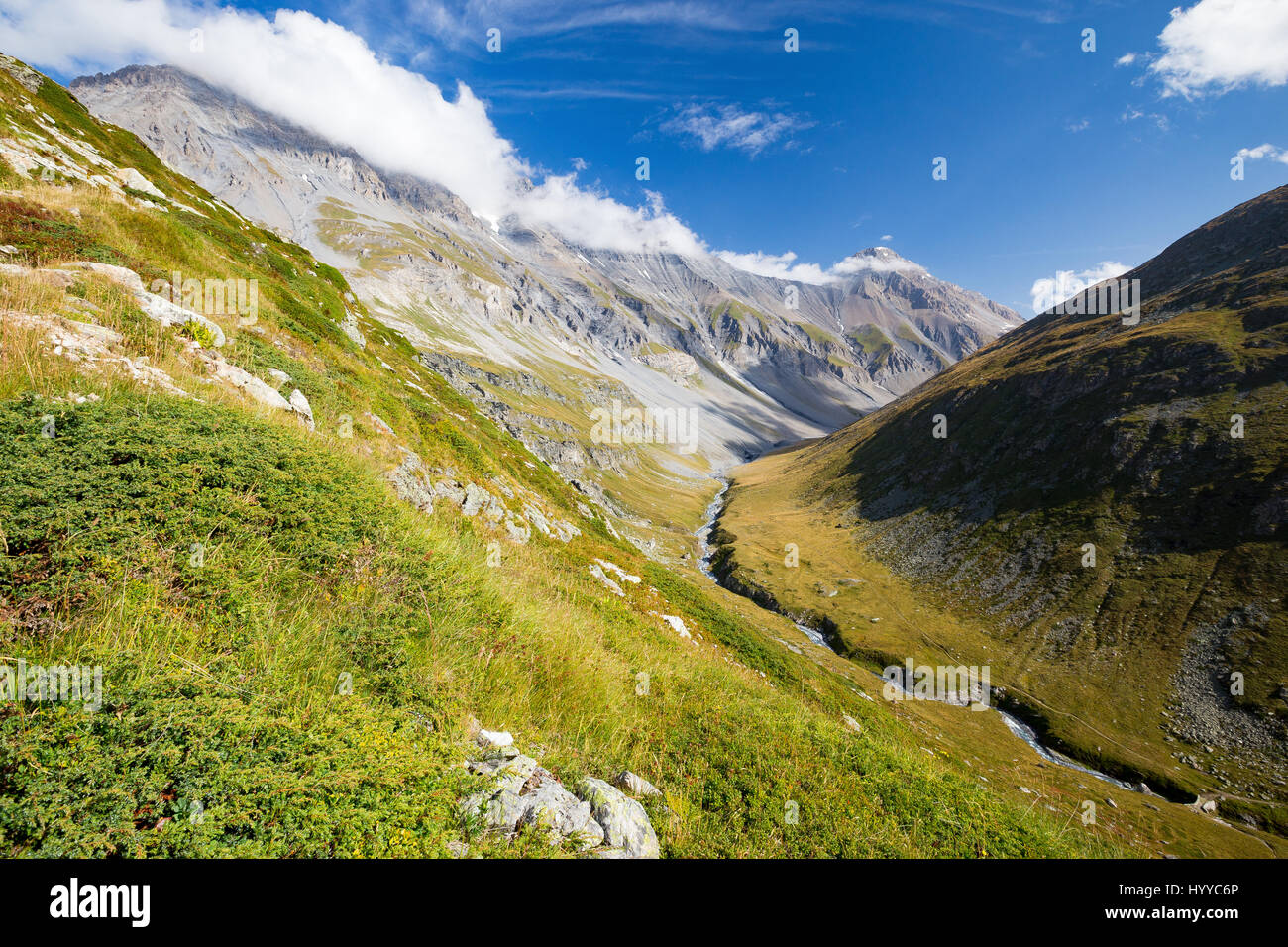 Vallon de la Leisse alpine valley and its torrent. Parc National de la ...