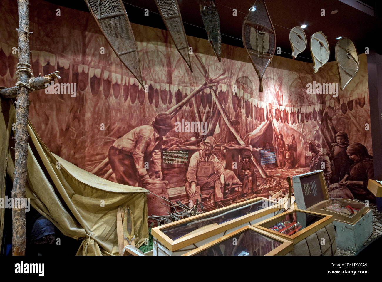 Fur trapping hi-res stock photography and images - Alamy