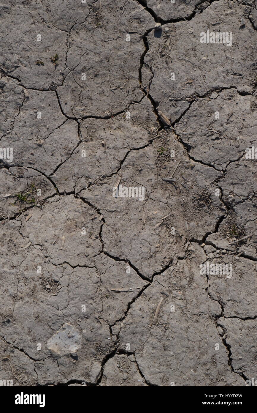Cracked mud, dry ground in hot weather in the UK Stock Photo - Alamy