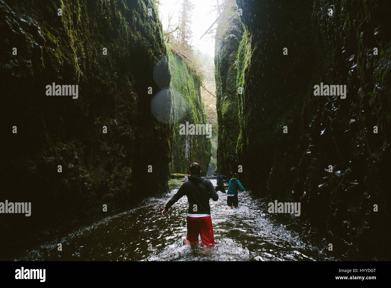 Oneonta Gorge, Pacific Northwest, Oregon Stock Photo - Alamy
