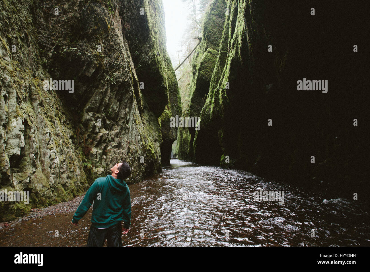 Oneonta gorge hi-res stock photography and images - Alamy