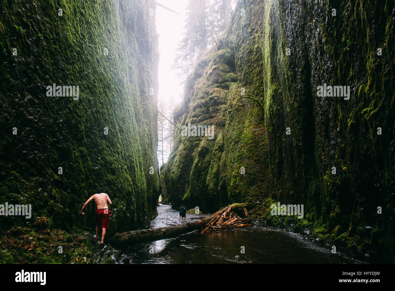 Oneonta Gorge, Pacific Northwest, Oregon Stock Photo - Alamy
