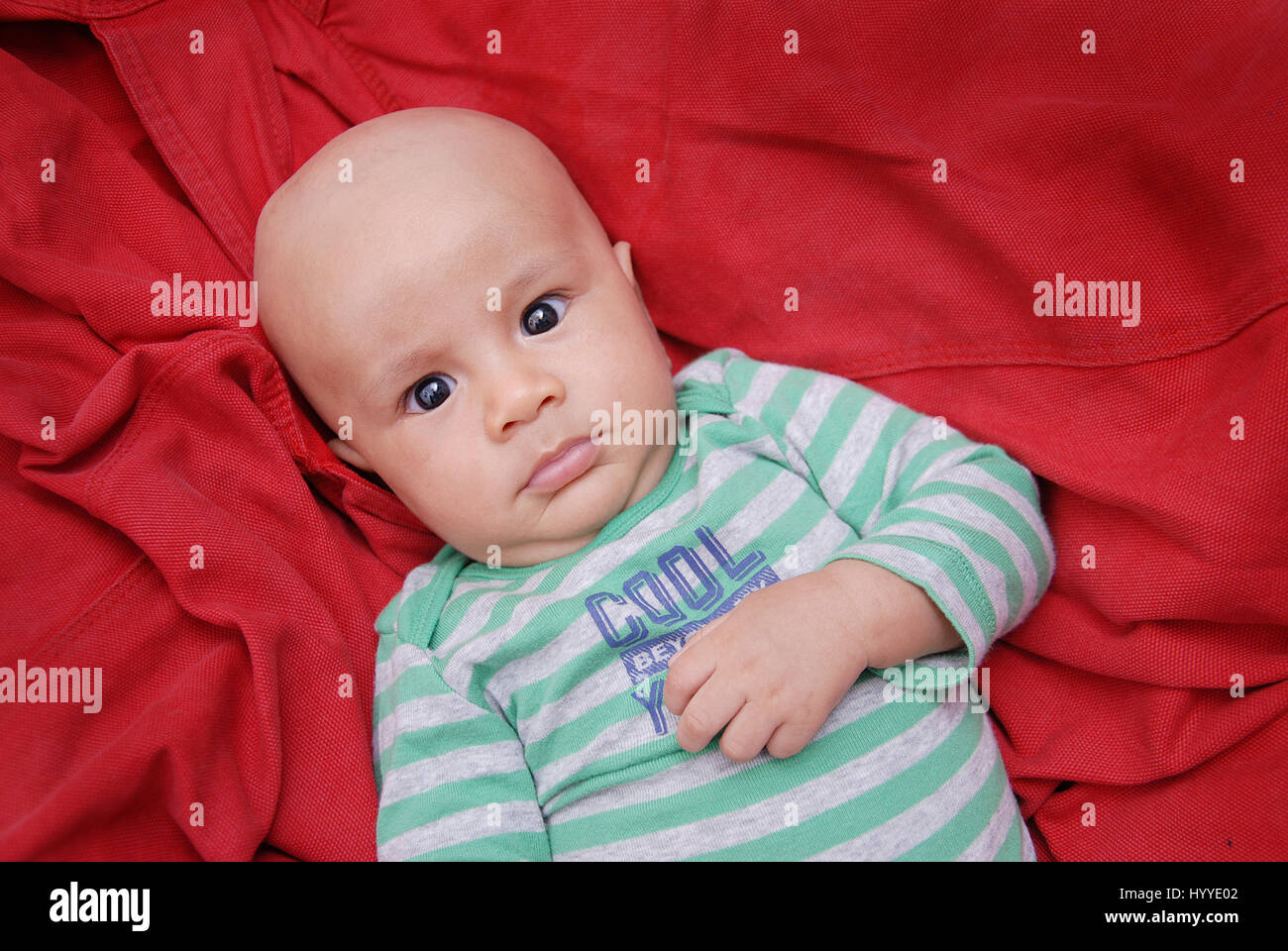 Cute Little Baby Boy Stock Photo Alamy cute-little-baby-boy-stock-photo-alamy
