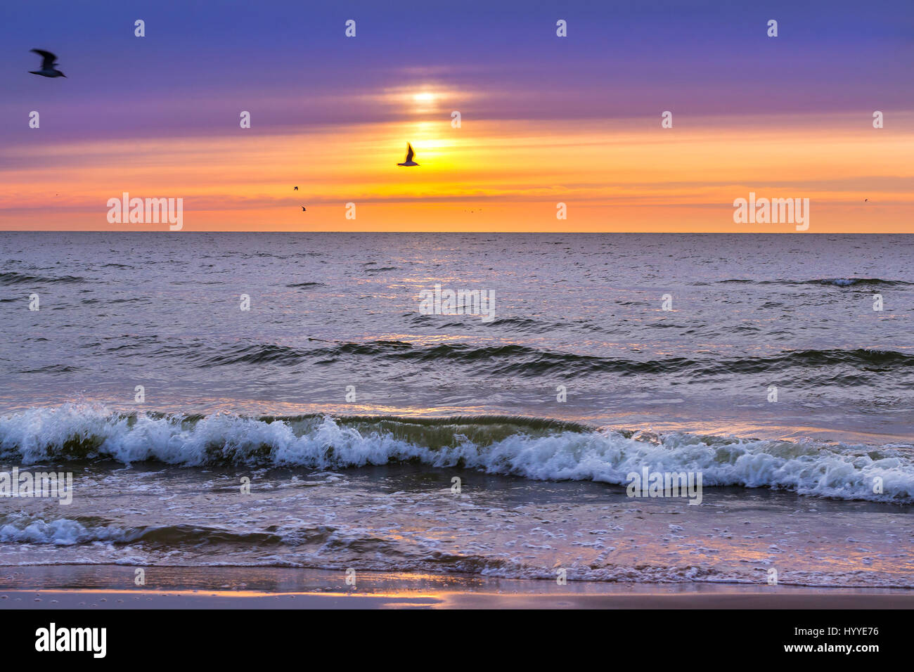 Sunset at Baltic sea in resort of Lithuania Palanga. Rays of sun shine ...