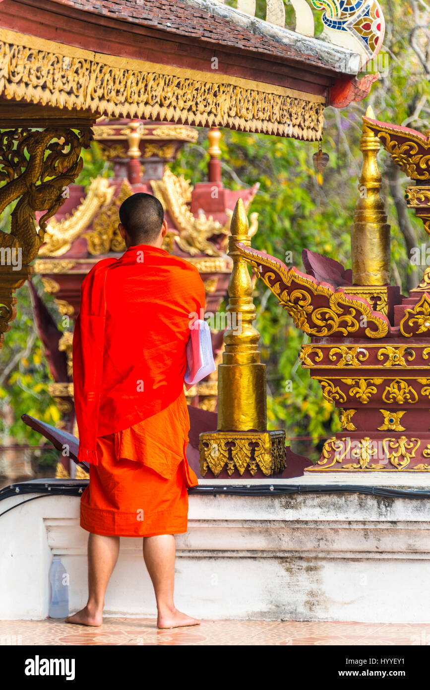 Buddhist monk, traditional orange robe, looking into the distance, Wat ...