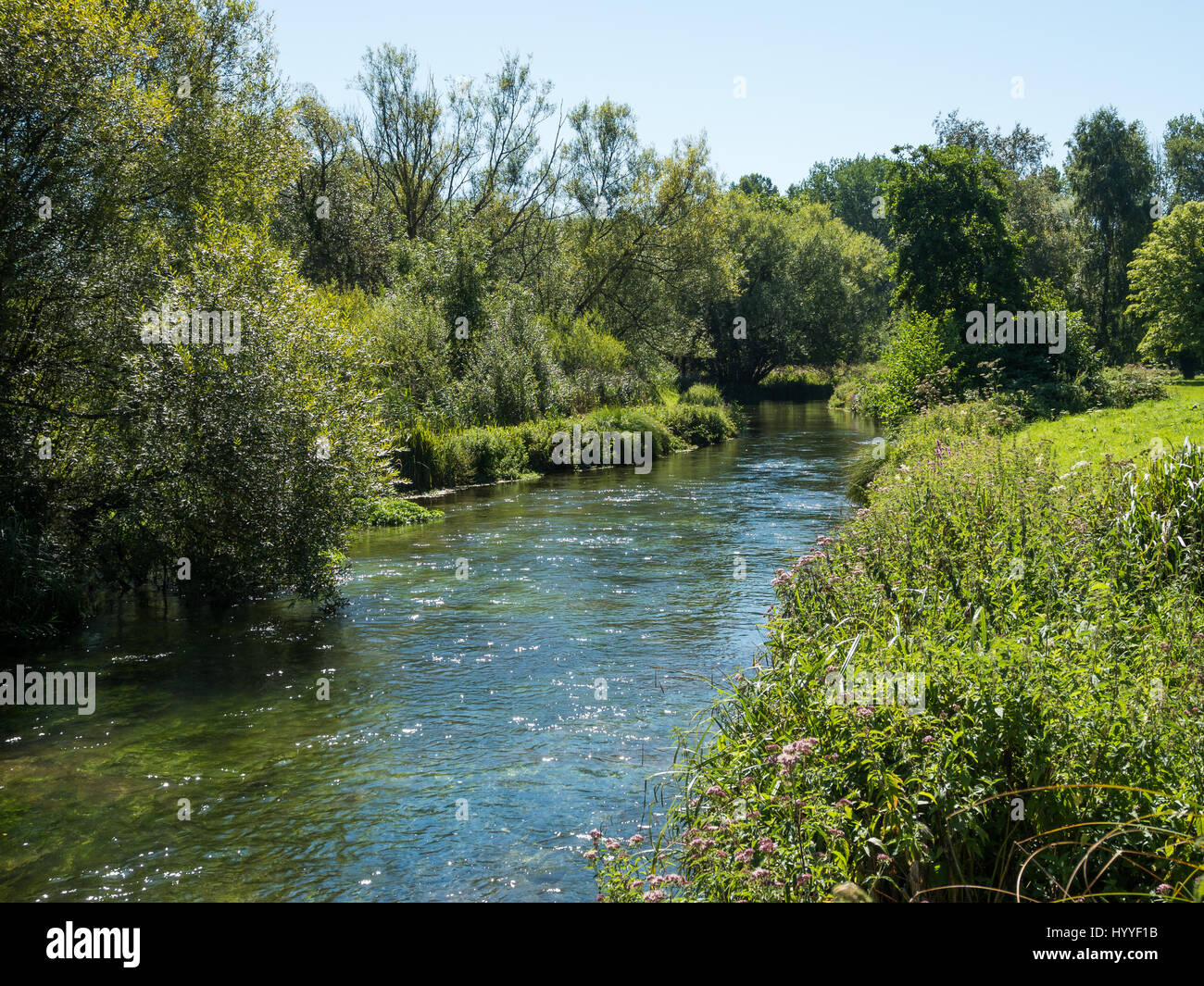 The river Itchen flowing through the countryside on a hot, summers day ...