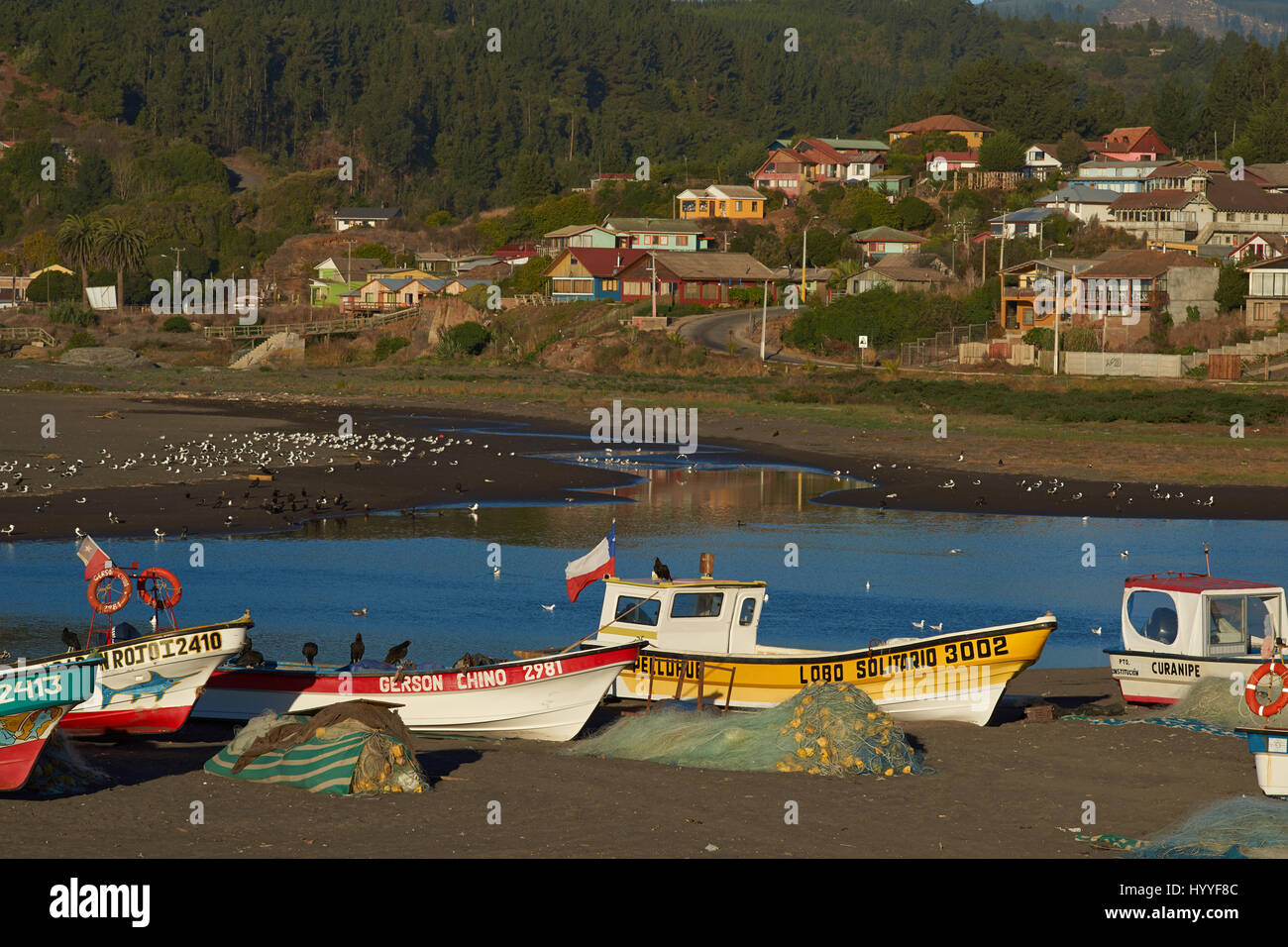 Colourful wooden fishing boats on the beach in the small coastal town ...