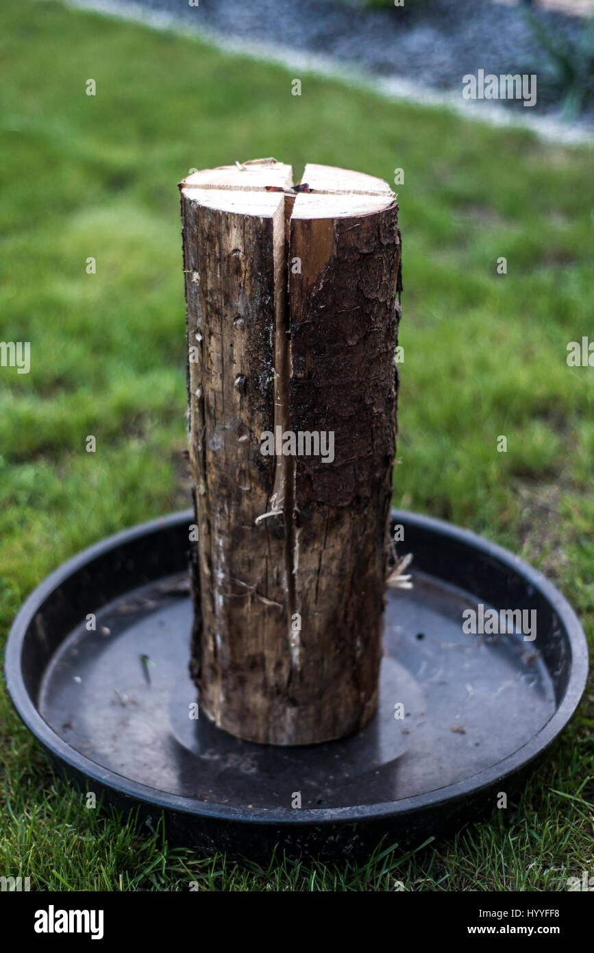 Swedish torch fire hi-res stock photography and images - Alamy