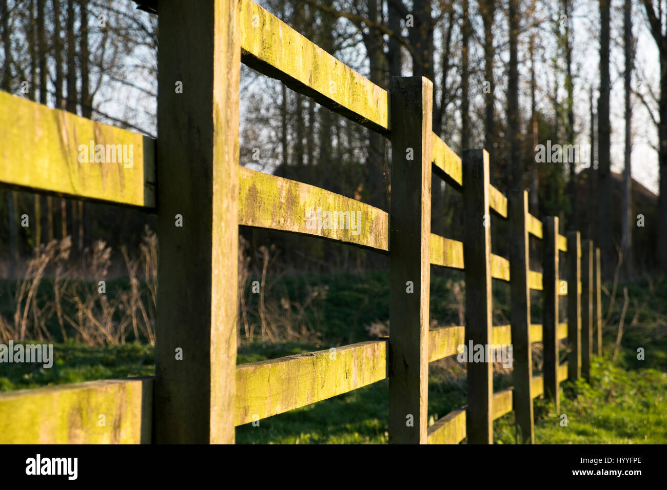 Early fence hi-res stock photography and images - Alamy