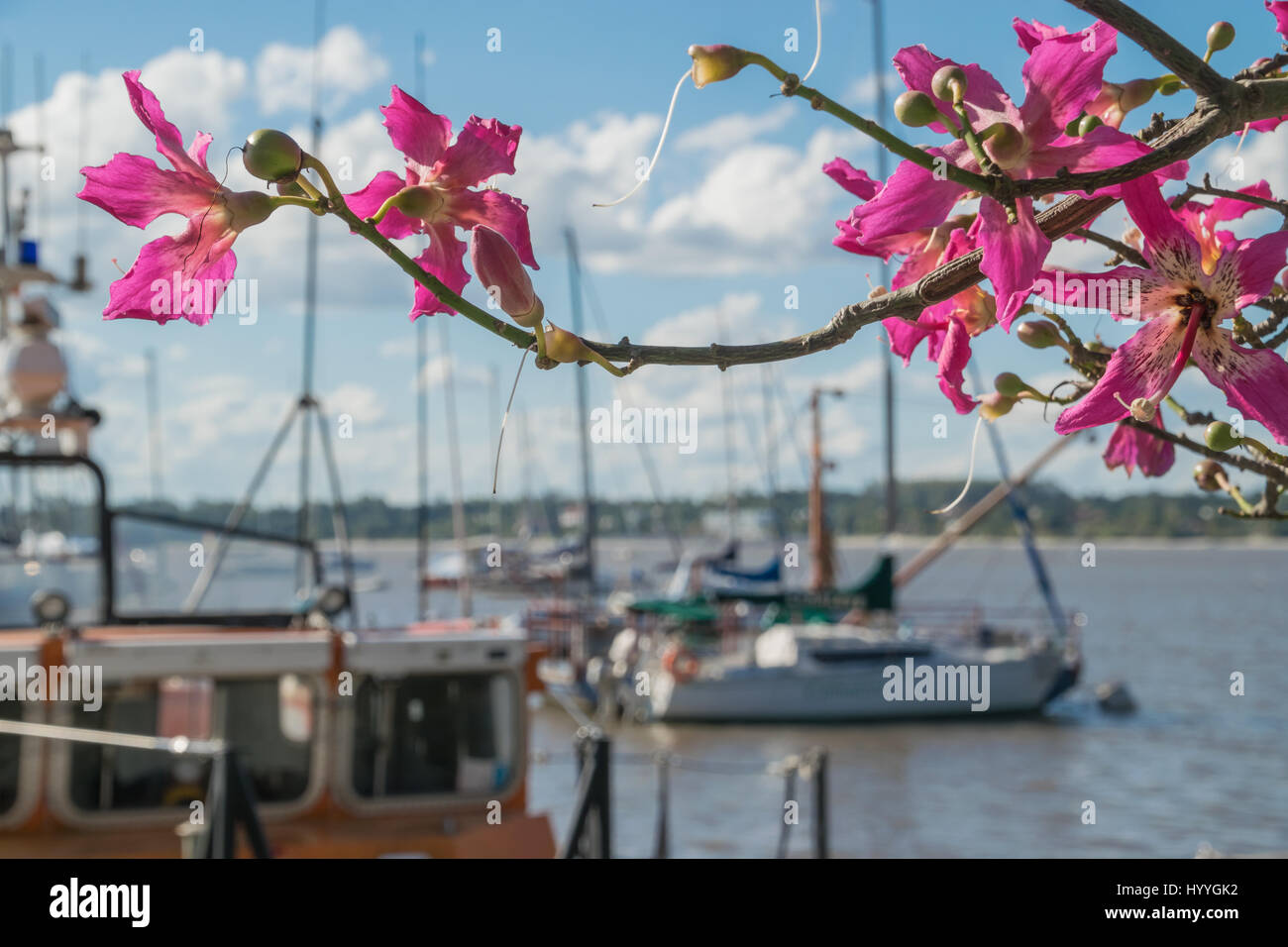 Dock framing hi-res stock photography and images - Alamy