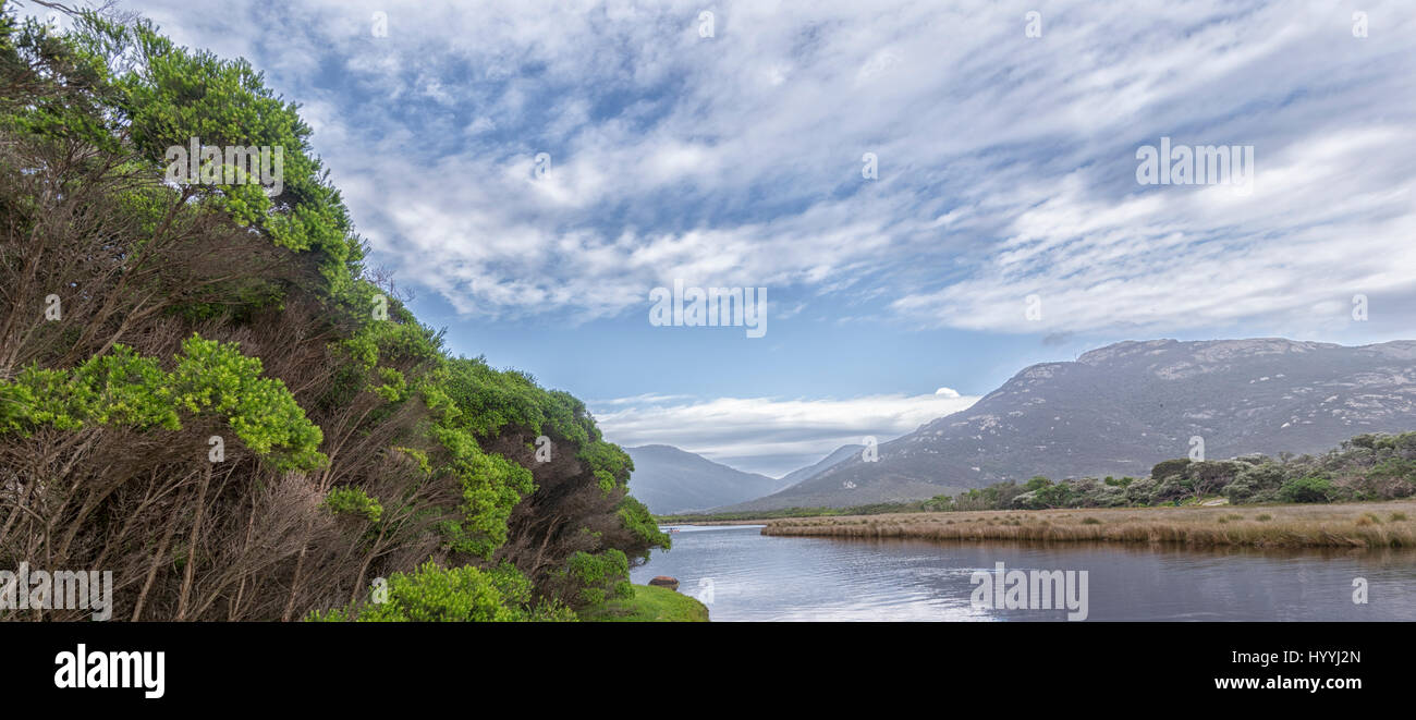 A beautiful landscape view of a distant mountain range with a tree line ...