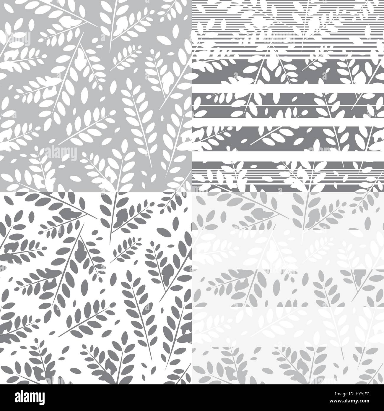 Set of floral striped grayscale pattern Stock Vector Image & Art - Alamy