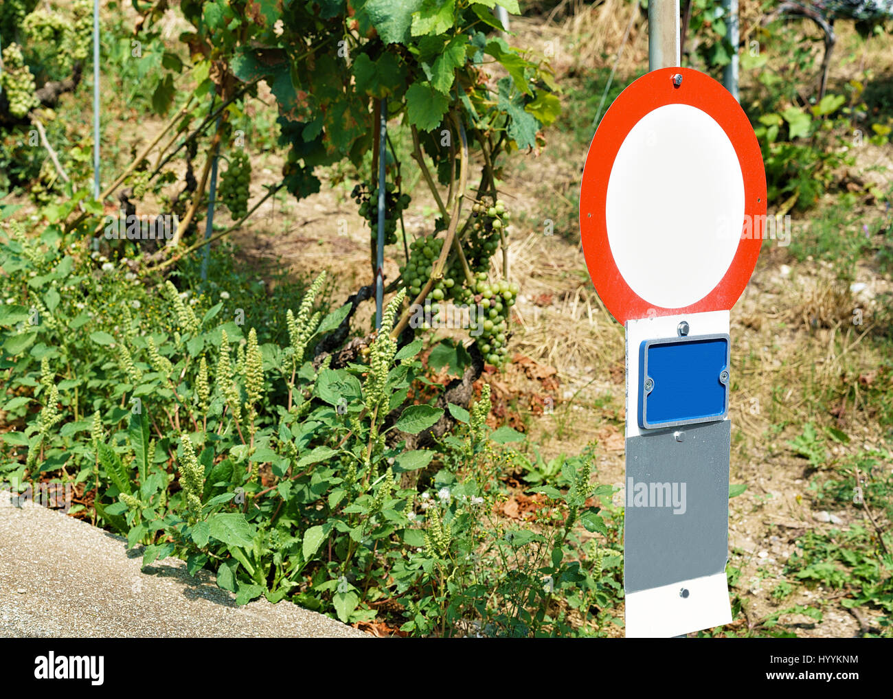 Vineyard Trail Sign High Resolution Stock Photography and Images - Alamy