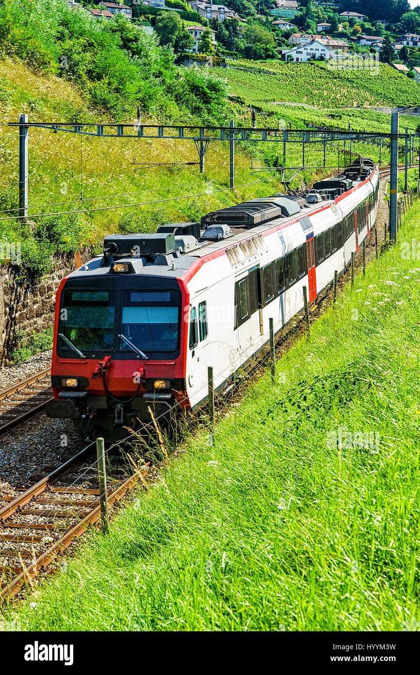 Swiss running train at Vineyard Terraces hiking trail of Lavaux, Lavaux ...