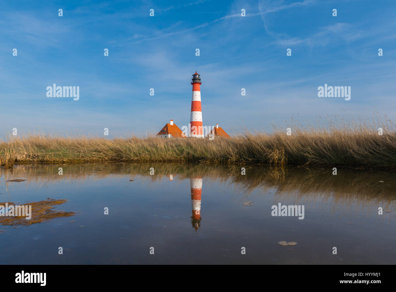 Germany´s most famous lighthouse Westerheversand in the salt marshes of ...