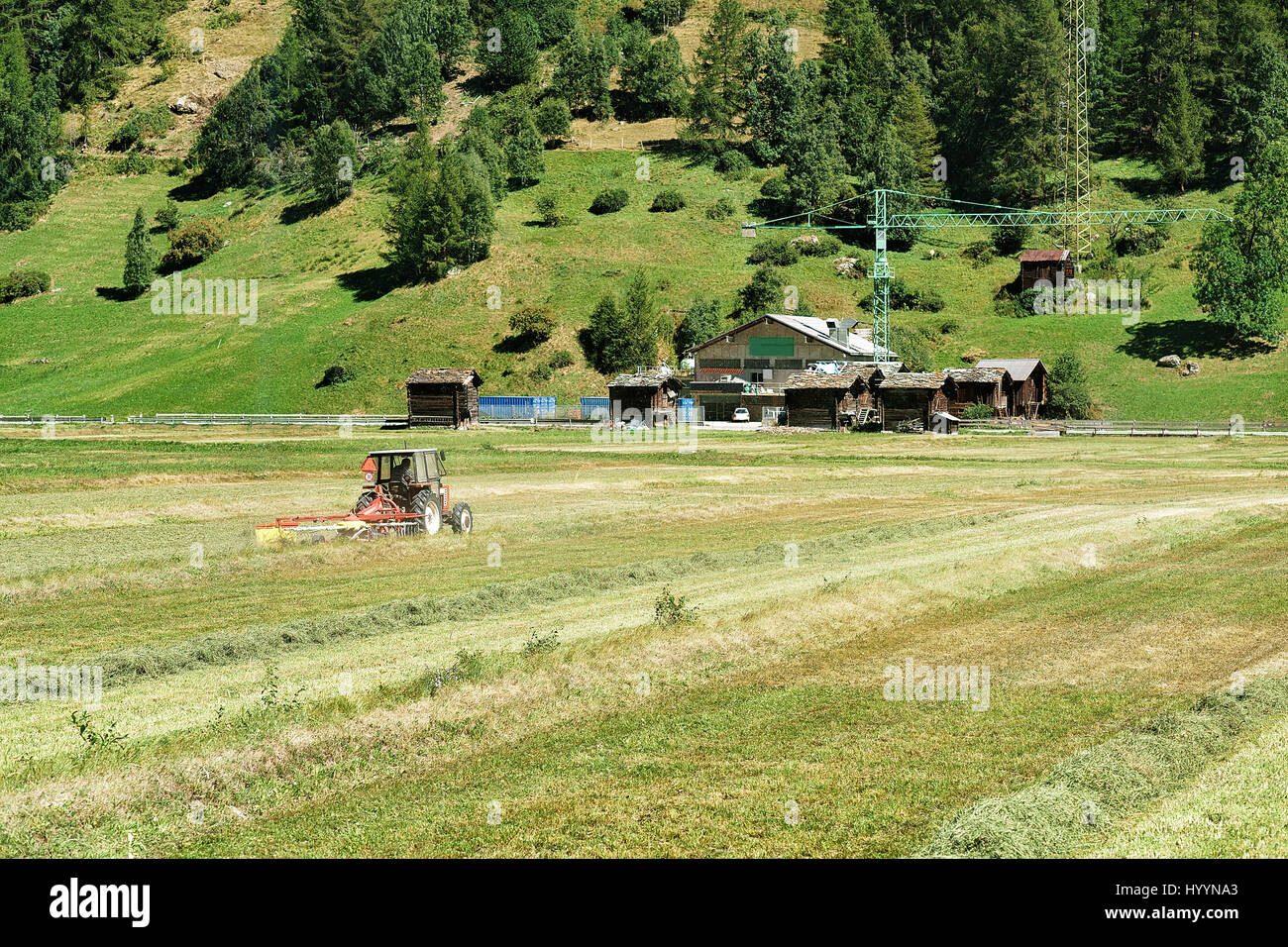 Tractor doing agricultural work such as cutting the hay in the meadow ...