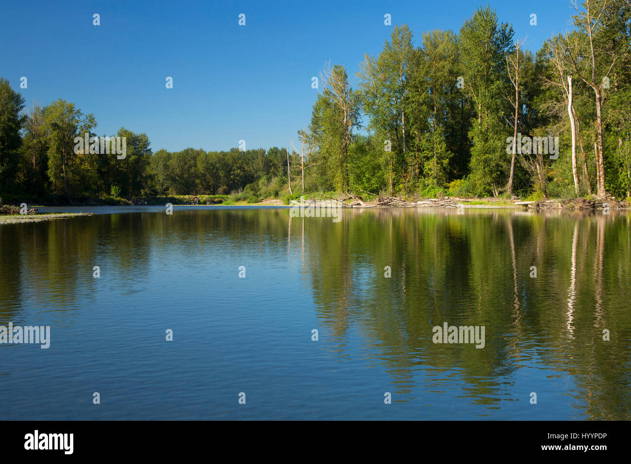 North Santiam River, Marion County, Oregon Stock Photo - Alamy