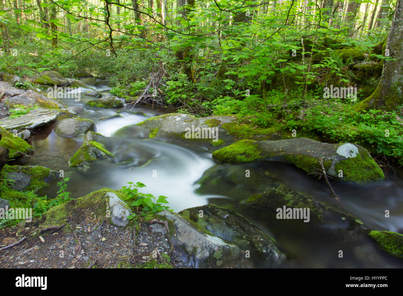 Roaring Forks Motor Trail Stock Photo - Alamy