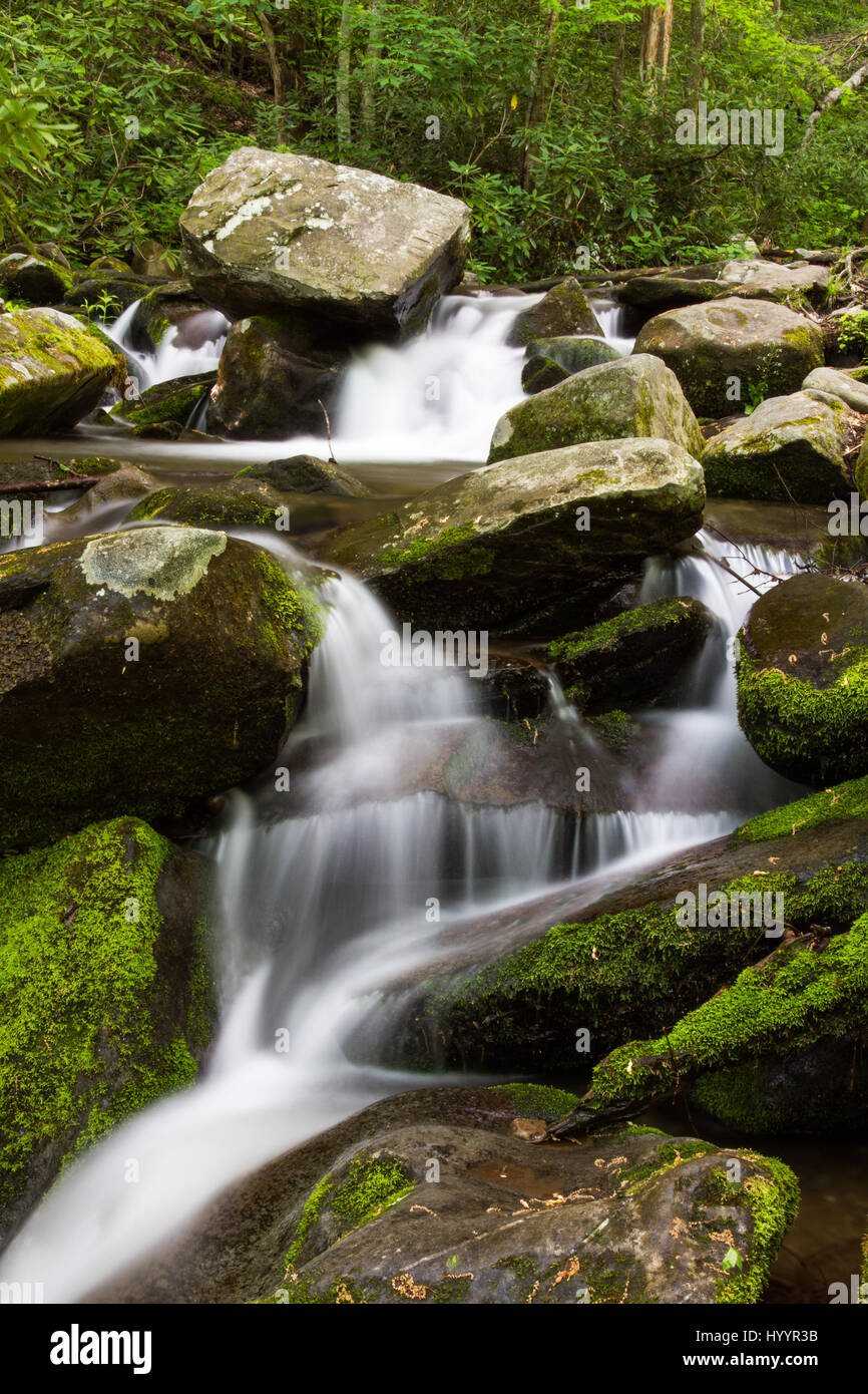 Roaring Forks Motor Trail Stock Photo - Alamy