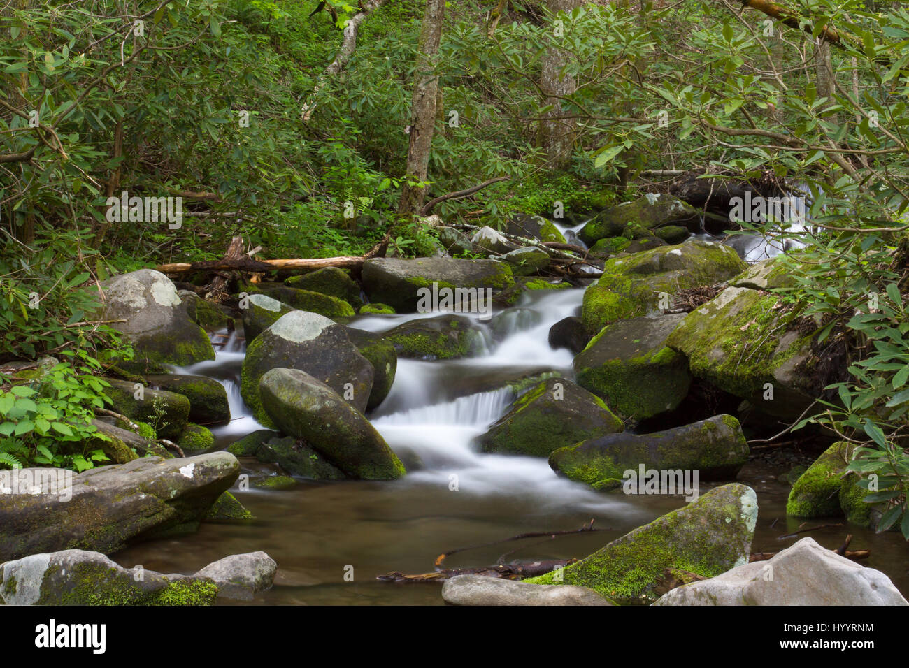 Roaring Forks Motor Trail Stock Photo - Alamy