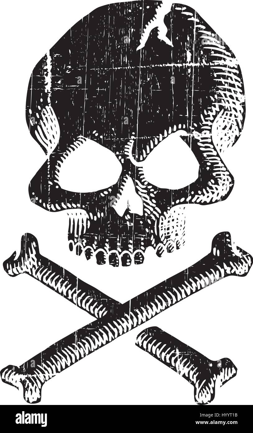 Skull. Vector Illustration Stock Vector Image & Art - Alamy