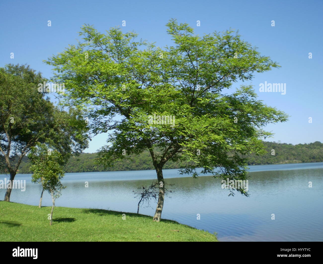 Image from Curitiba, Brazil Stock Photo - Alamy