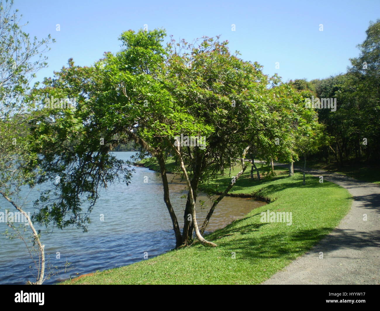 Image from Curitiba, Brazil Stock Photo - Alamy