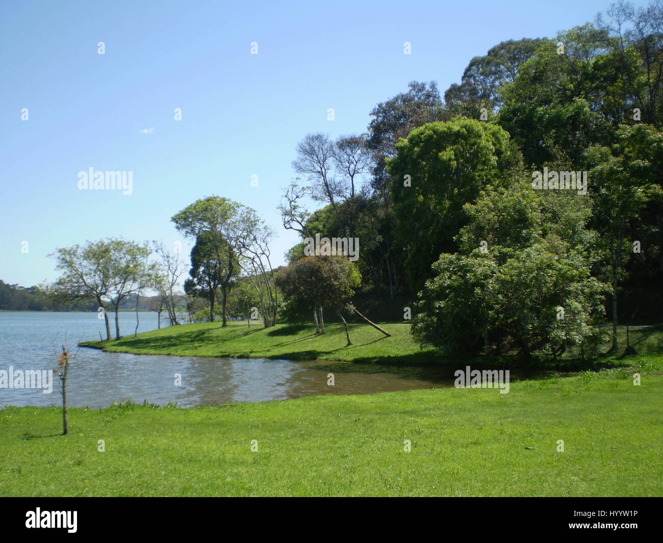 Image from Curitiba, Brazil Stock Photo - Alamy