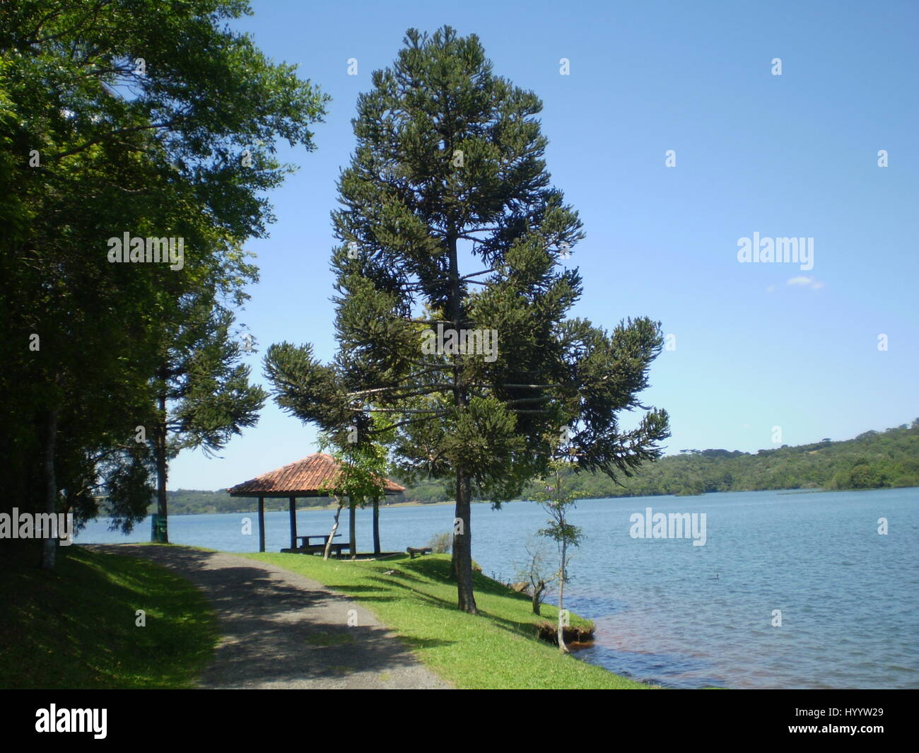Image from Curitiba, Brazil Stock Photo - Alamy