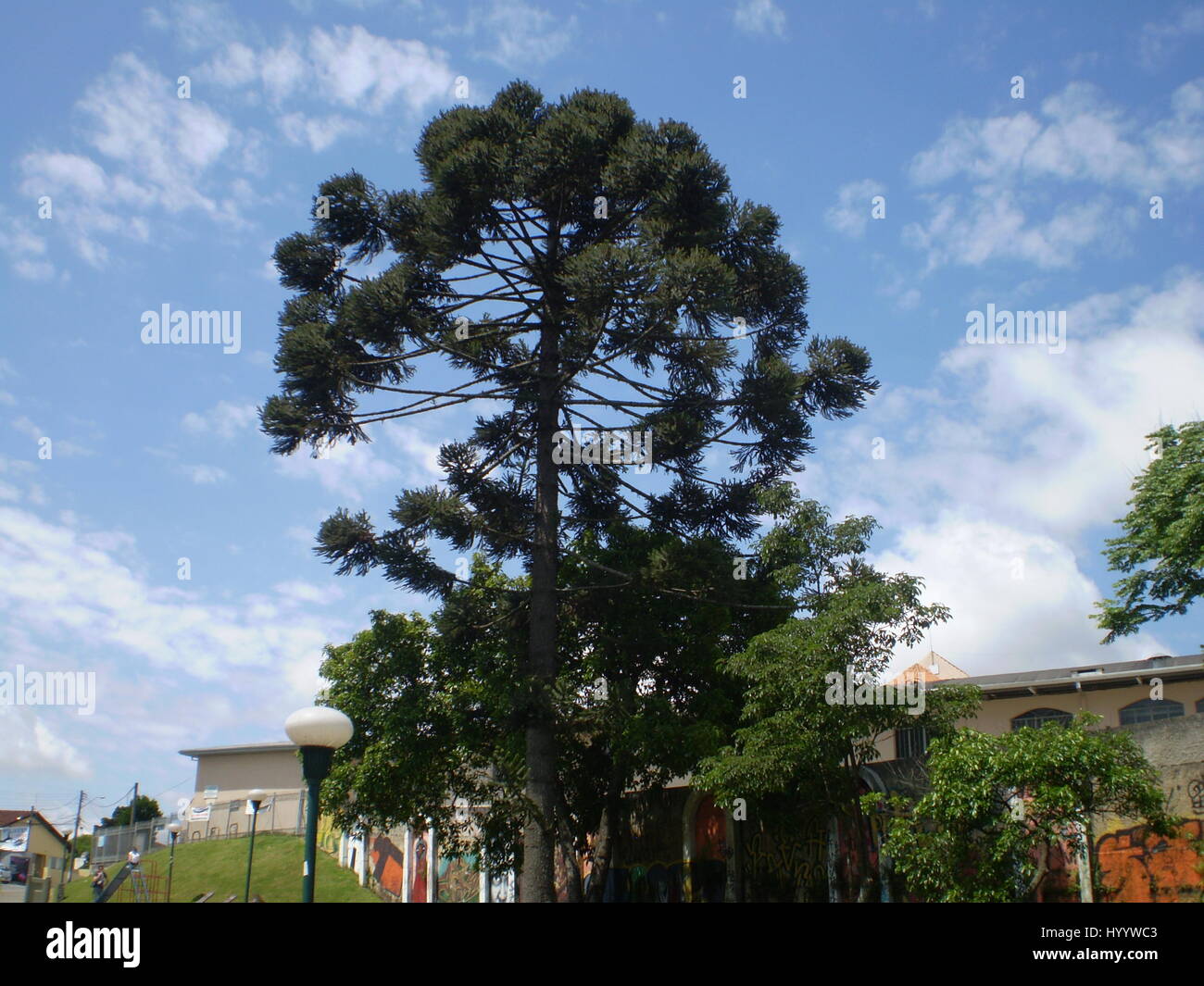 Image from Curitiba, Brazil Stock Photo - Alamy