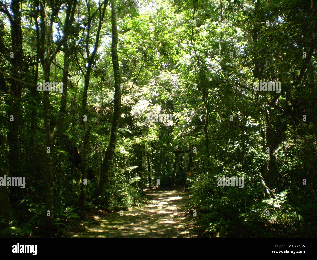Image from Curitiba, Brazil Stock Photo - Alamy