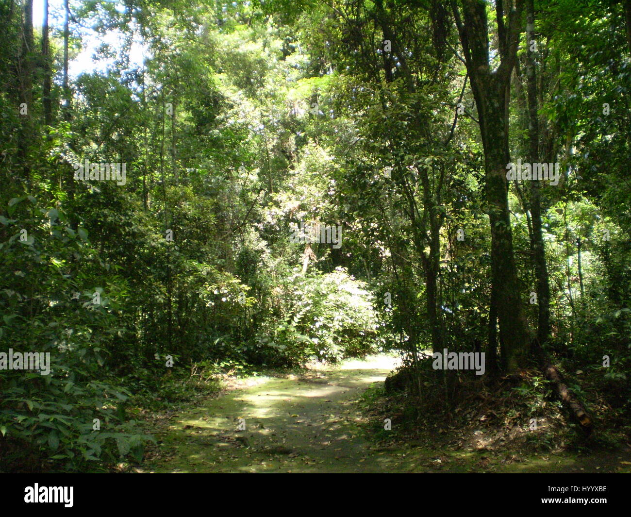 Image from Curitiba, Brazil Stock Photo - Alamy