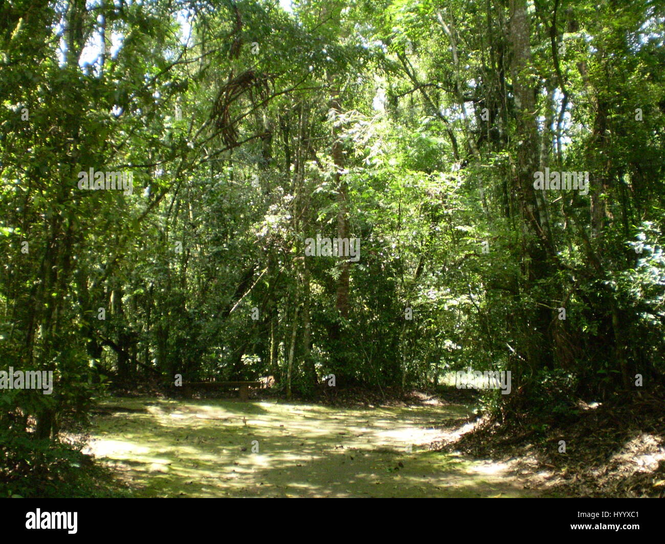 Image from Curitiba, Brazil Stock Photo - Alamy