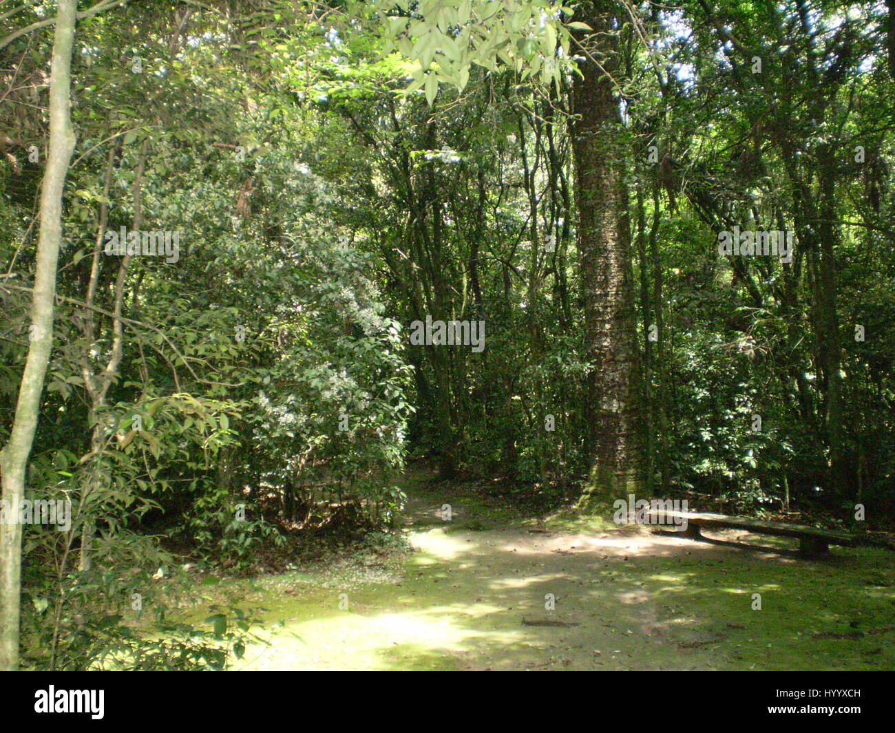 Image from Curitiba, Brazil Stock Photo - Alamy