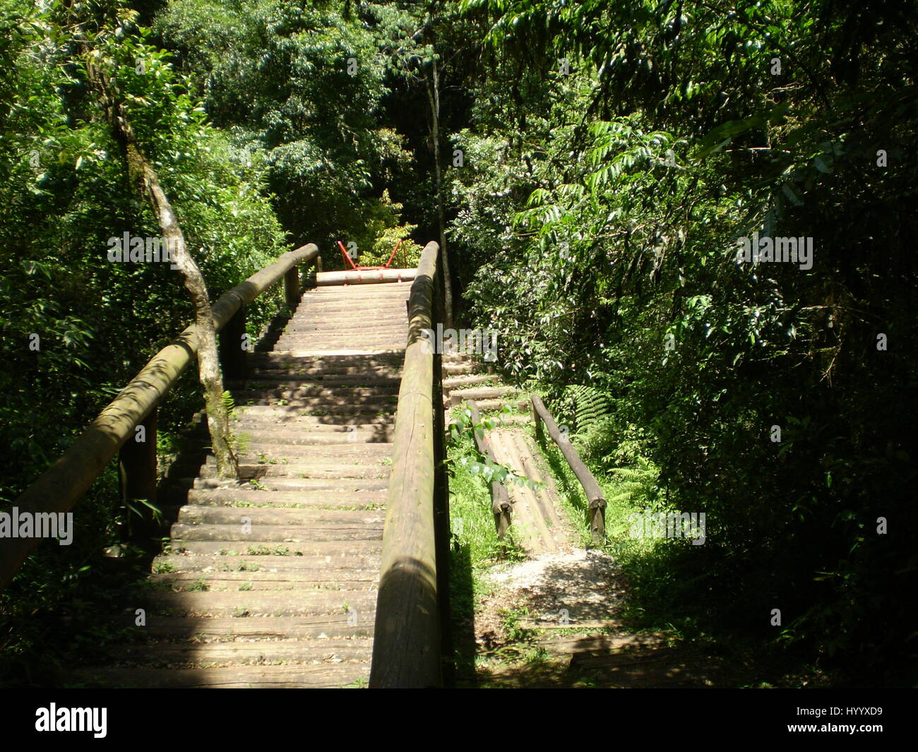 Image from Curitiba, Brazil Stock Photo - Alamy