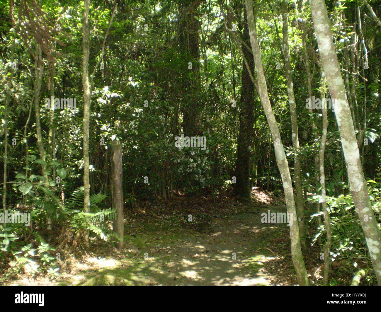 Image from Curitiba, Brazil Stock Photo - Alamy