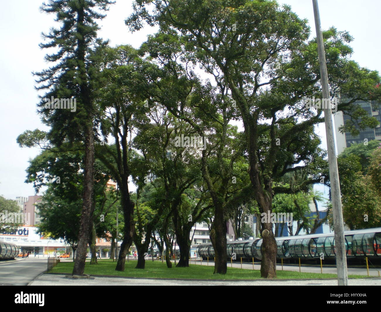Image from Curitiba, Brazil Stock Photo - Alamy