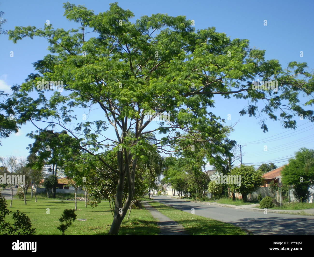 Image from Curitiba, Brazil Stock Photo - Alamy