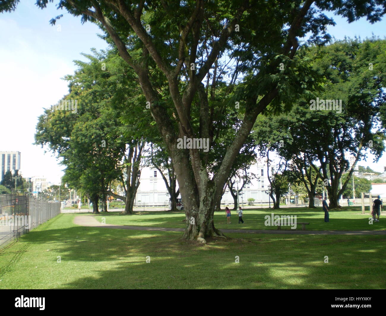 Image from Curitiba, Brazil Stock Photo - Alamy