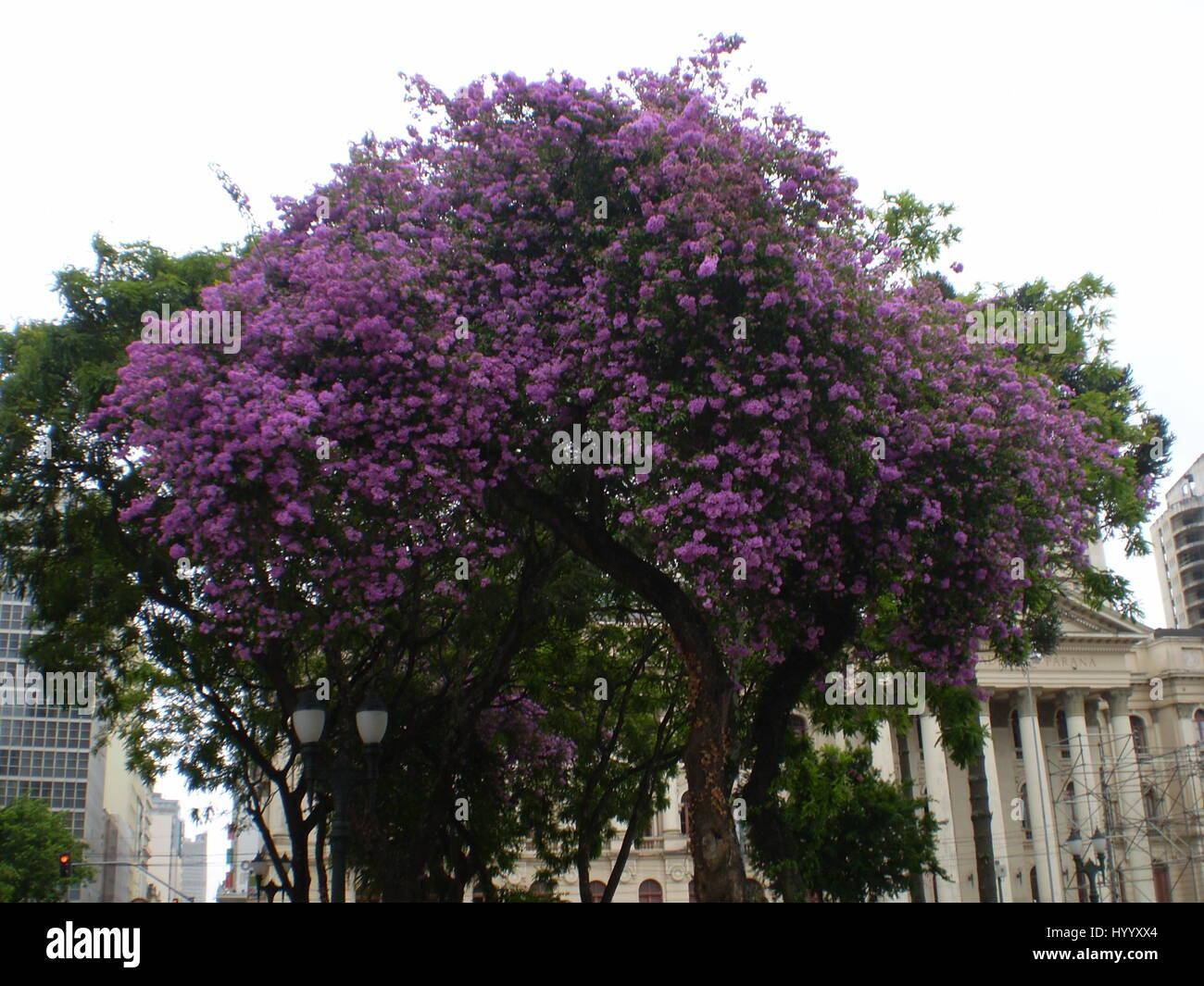 Image from Curitiba, Brazil Stock Photo - Alamy