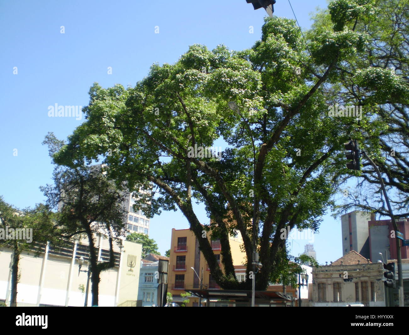 Image from Curitiba, Brazil Stock Photo - Alamy