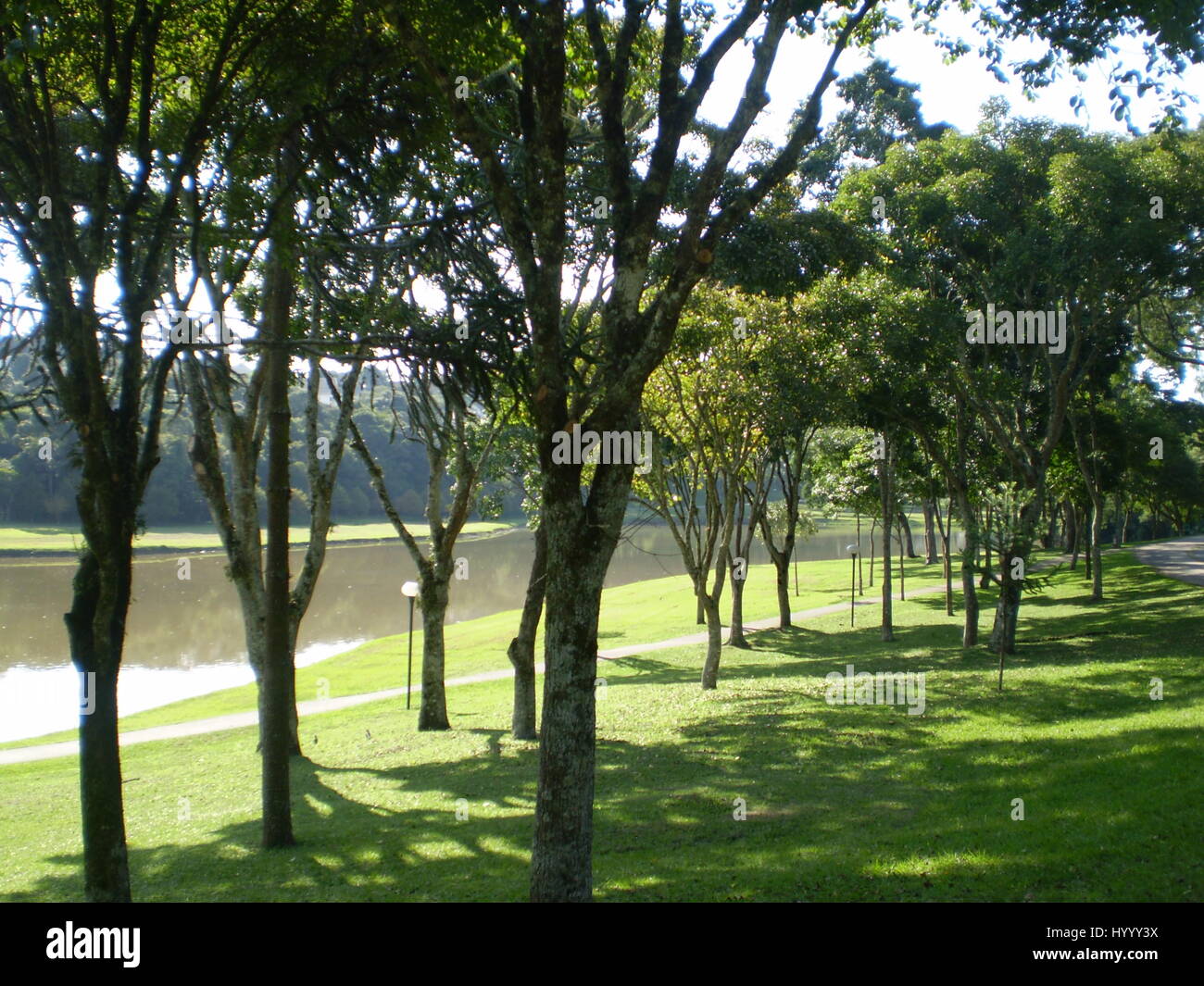 Image from Curitiba, Brazil Stock Photo - Alamy