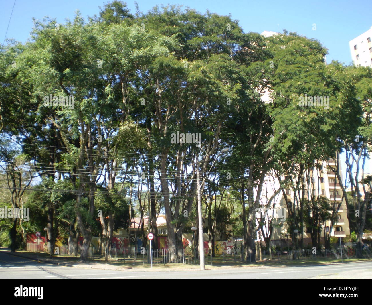 Image from Curitiba, Brazil Stock Photo - Alamy