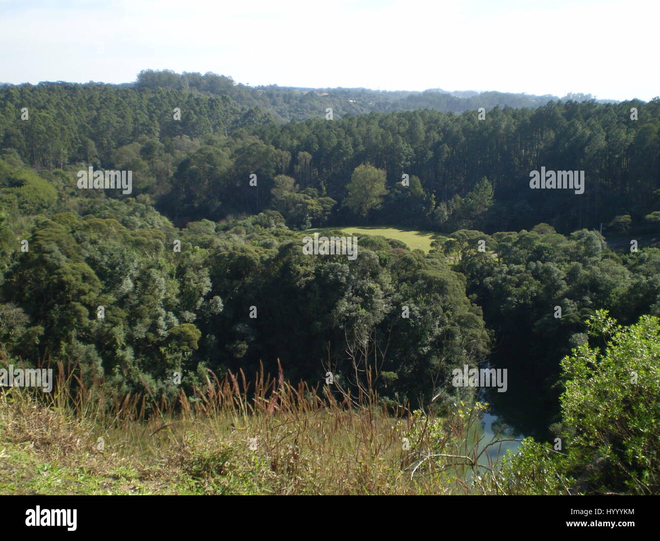 Image from Curitiba, Brazil Stock Photo - Alamy