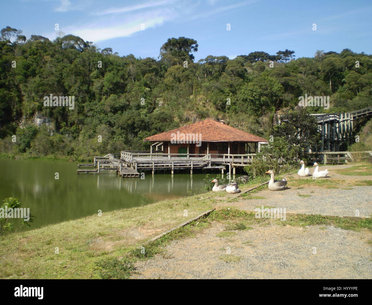 Image from Curitiba, Brazil Stock Photo - Alamy